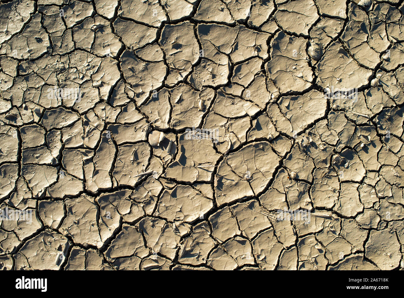 Cracked soil texture. Hard shadows and sun. Dried ground. Pattern of ...