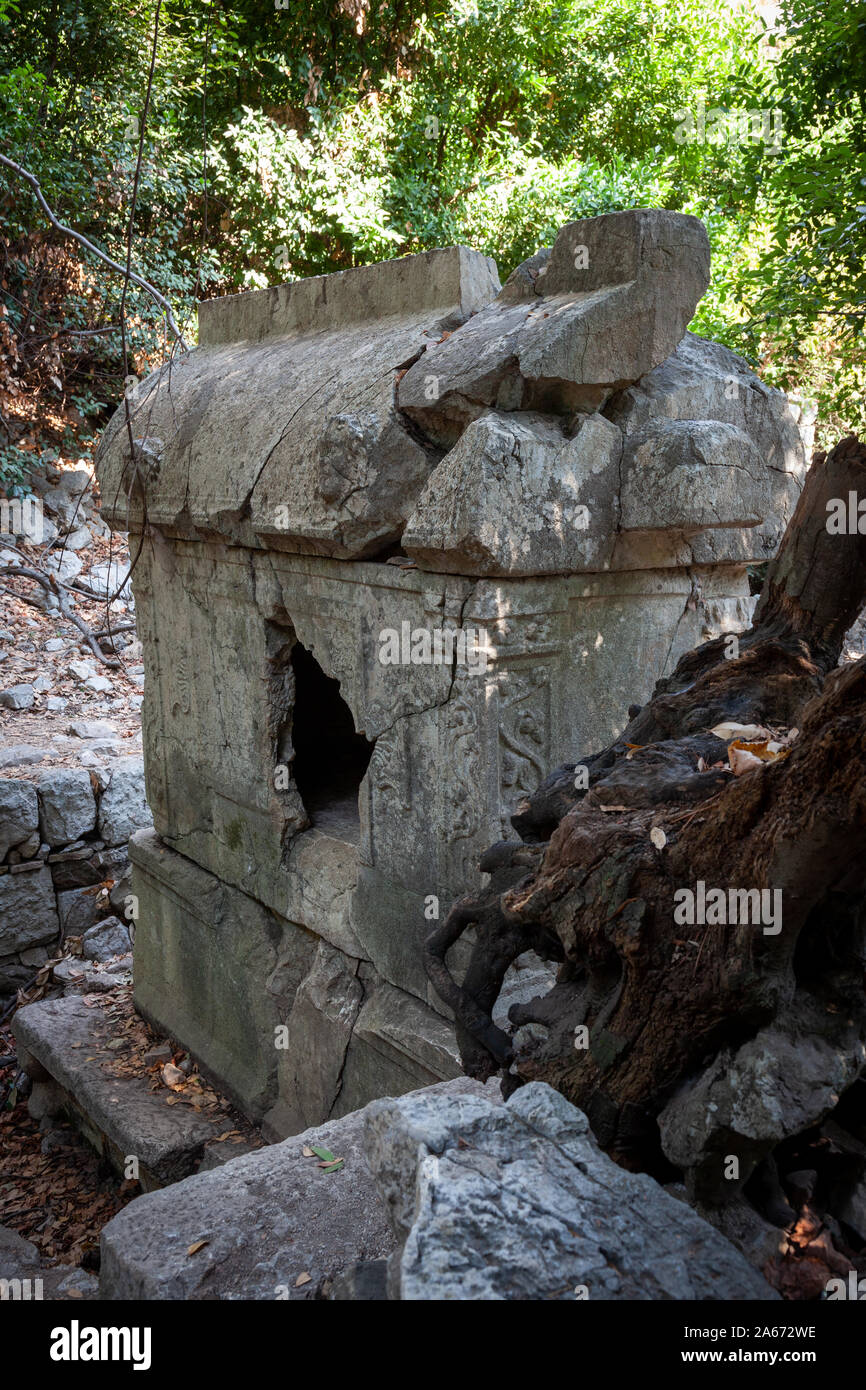 The ruins of the ancient city of Olympos in Turkey Stock Photo - Alamy