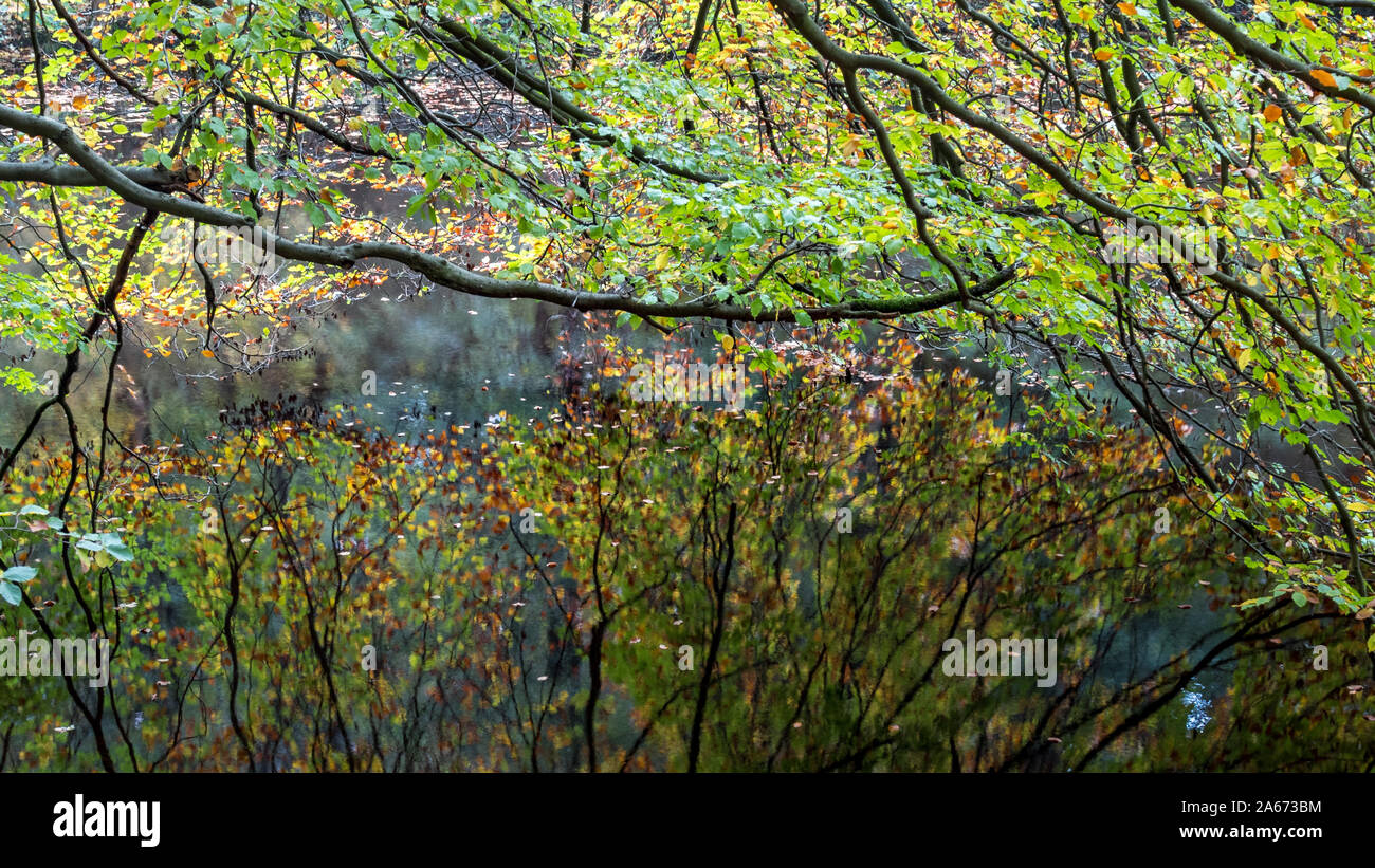 Canopy mirror hi-res stock photography and images - Alamy