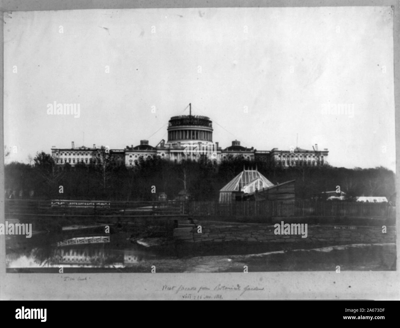 Botanical structure Black and White Stock Photos & Images - Alamy