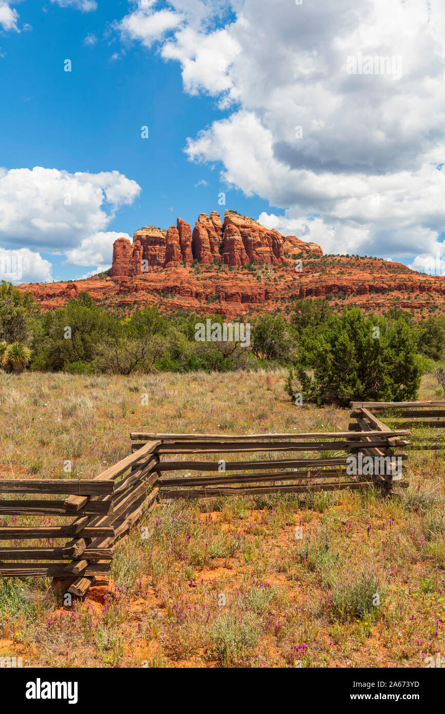 Cathedral Rock Sedona, Arizona, USA, North America Stock Photo - Alamy