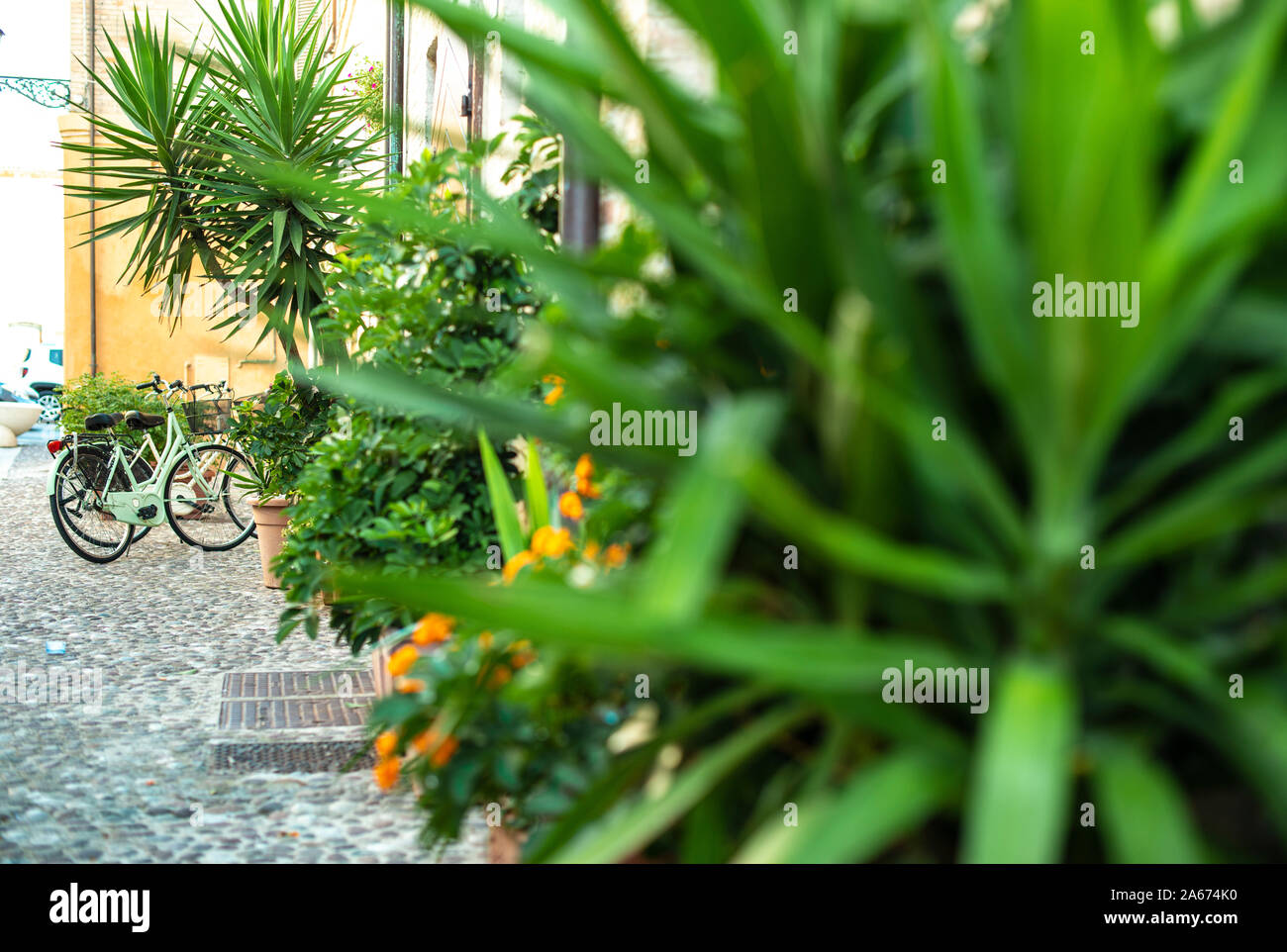 Bicycles on typical italian street. Many vintage bikes and flowers in ...