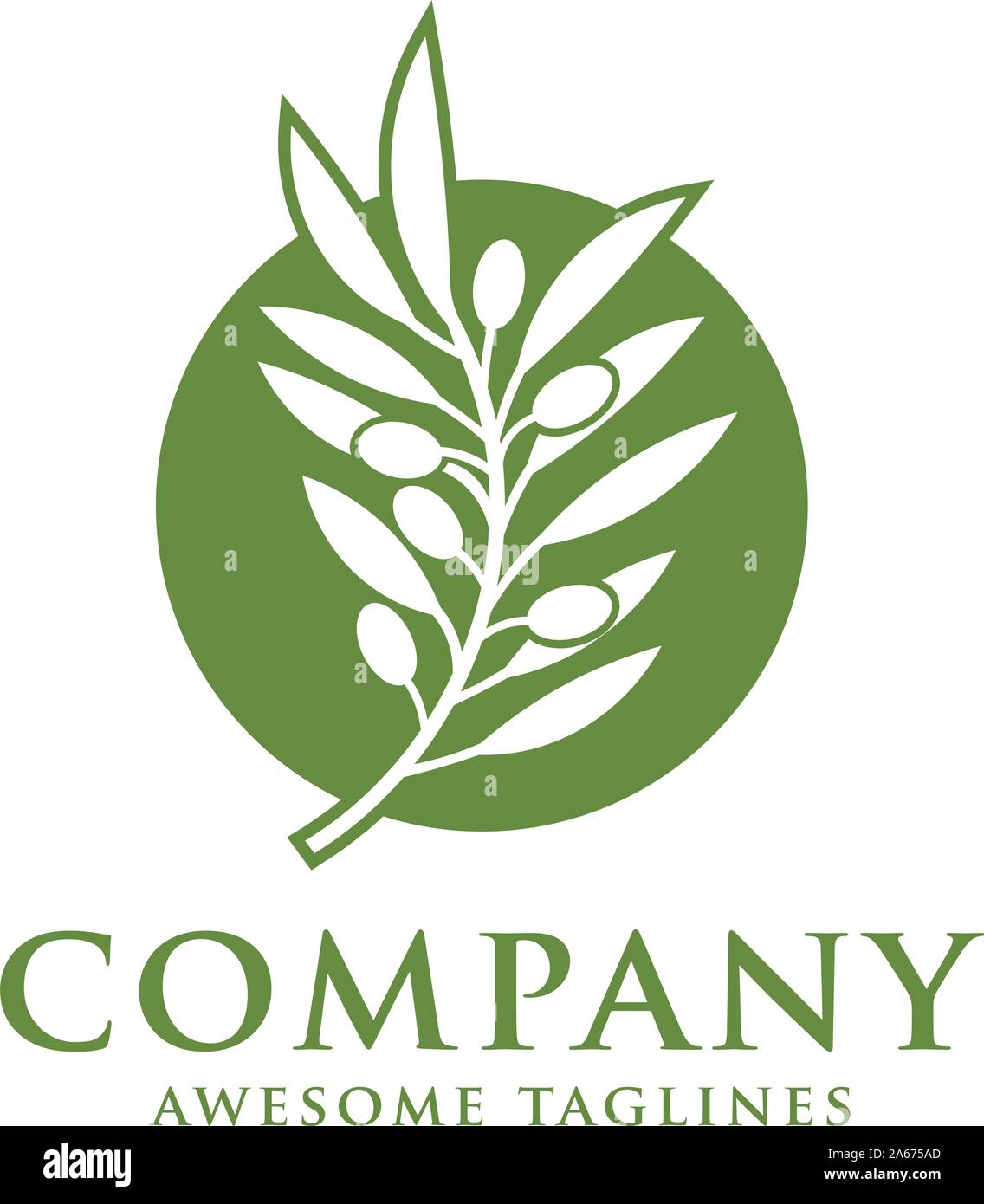 Olive tree branch selective Cut Out Stock Images & Pictures - Alamy