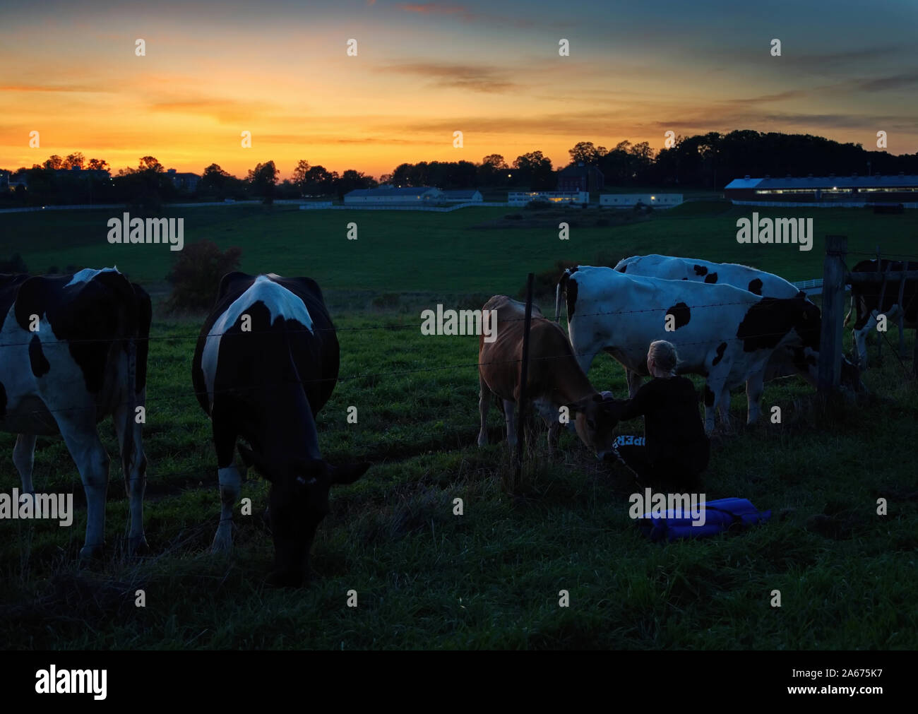 Young female coed hi-res stock photography and images - Alamy