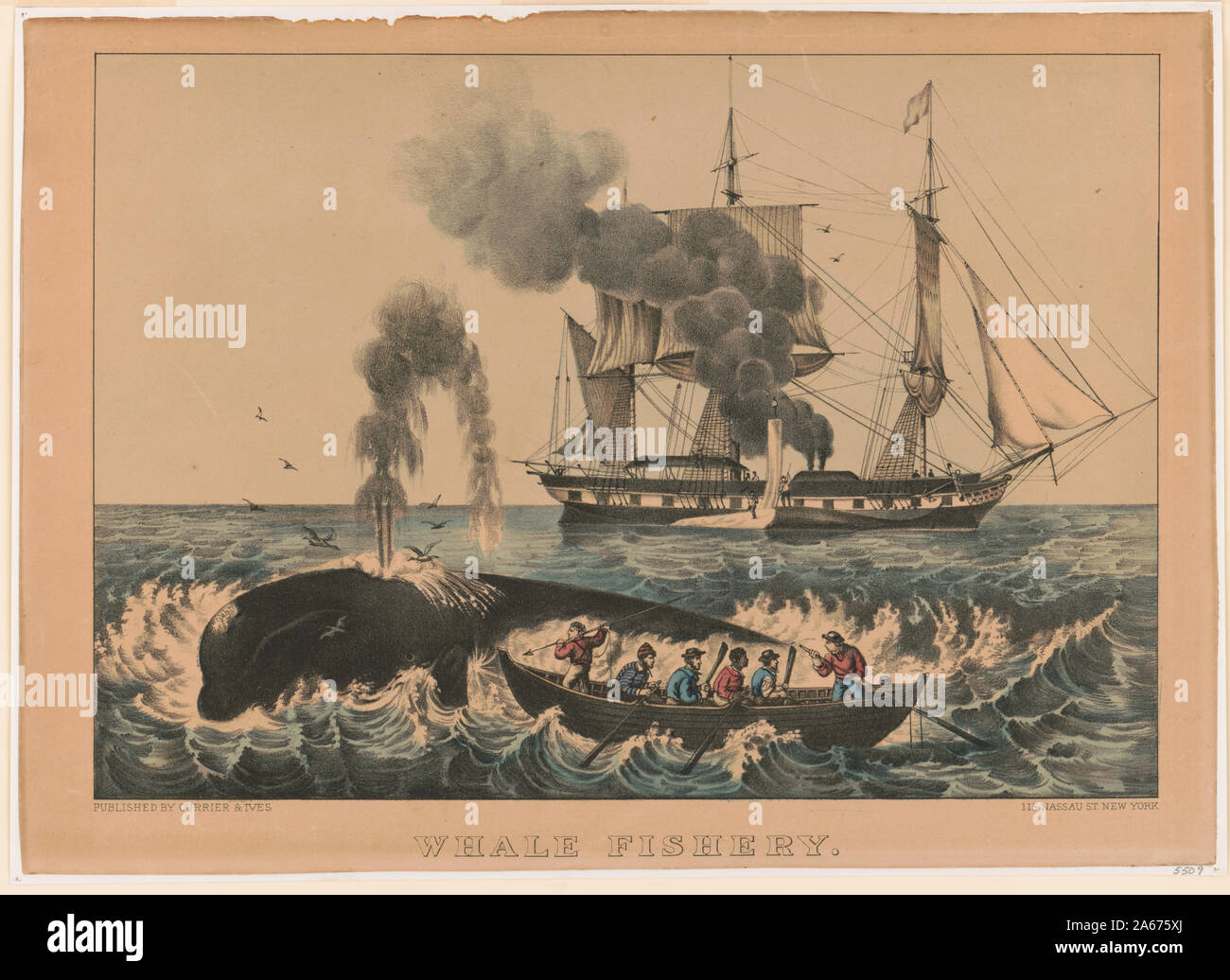 Whale fishery: attacking a right whale Stock Photo - Alamy