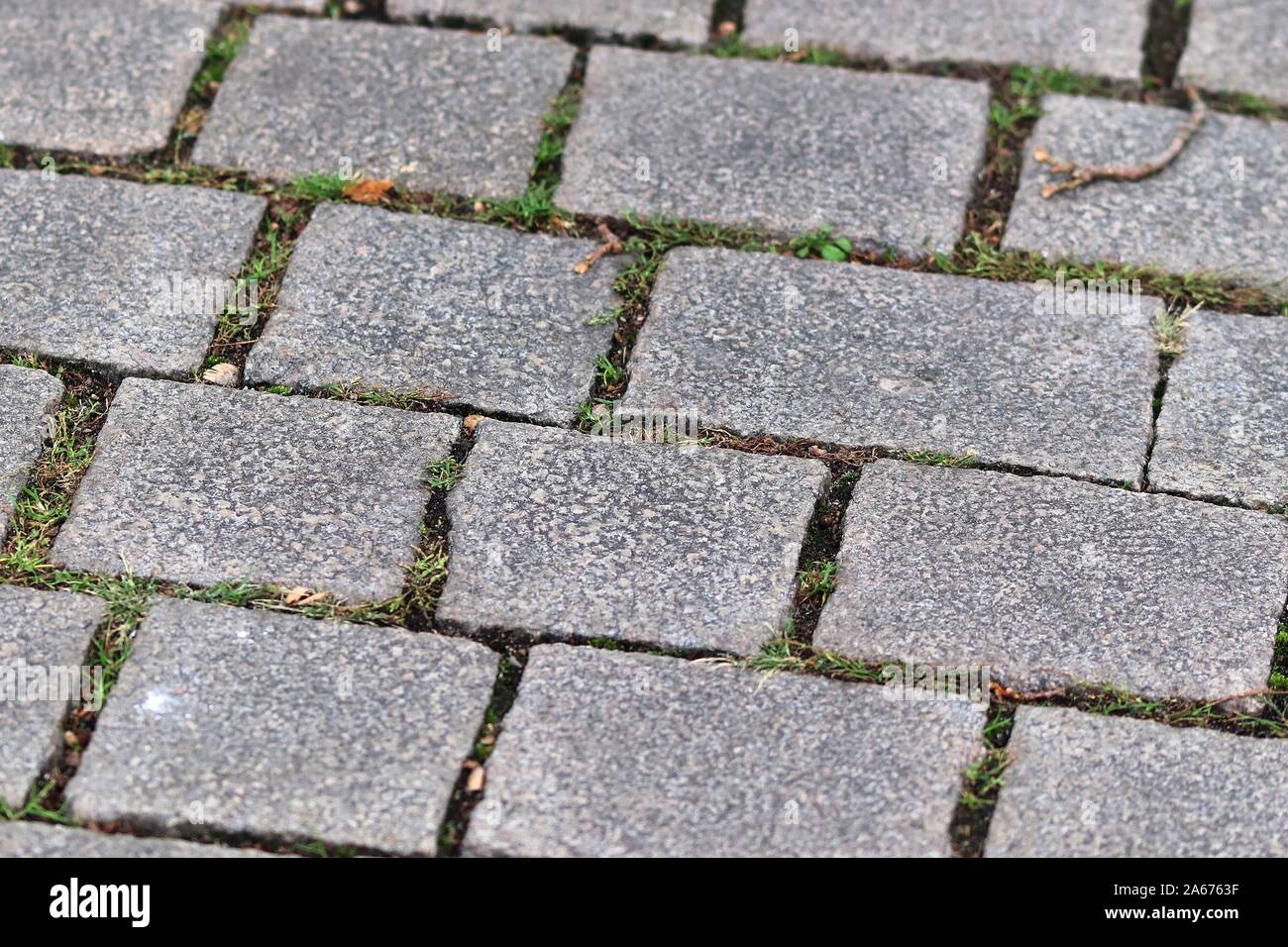 Highly detaled close up view on cobblestone textues with perspective in ...