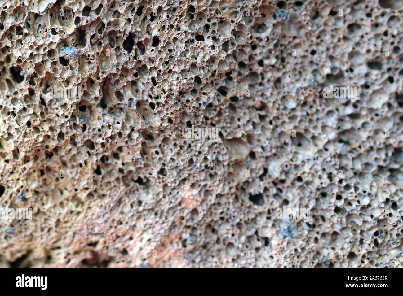 Selective focus. Gray-brown large-pore stone. Pumice stone texture ...