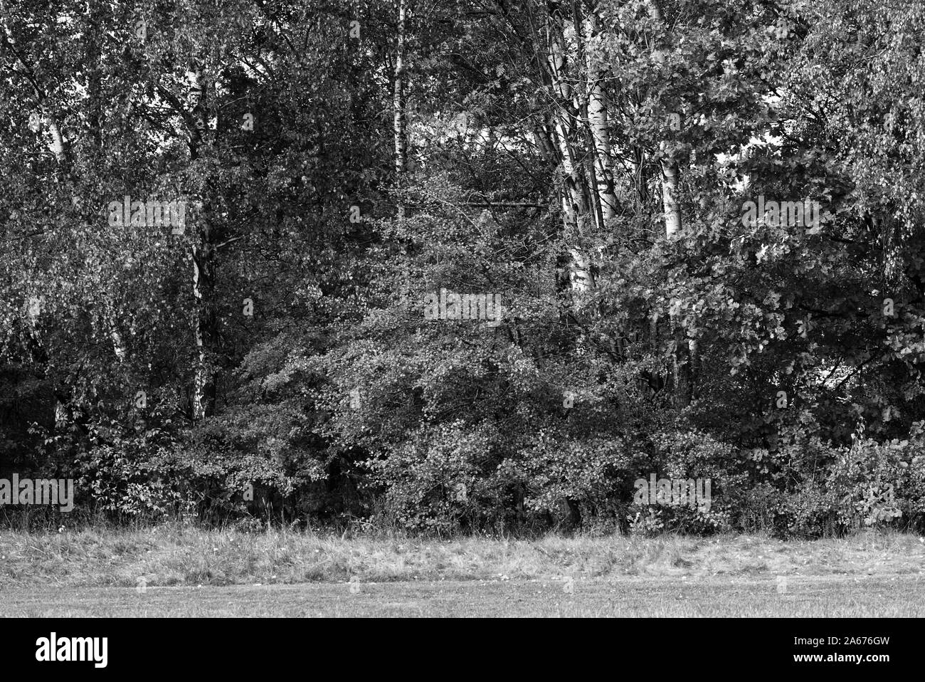 Dull gray landscape Black and White Stock Photos & Images - Alamy