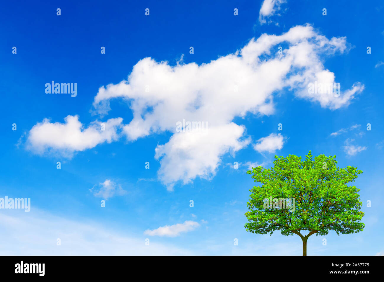 Tree and blue sky Stock Photo - Alamy