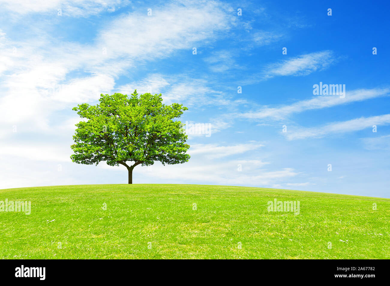 Tree, hill and blue sky Stock Photo - Alamy