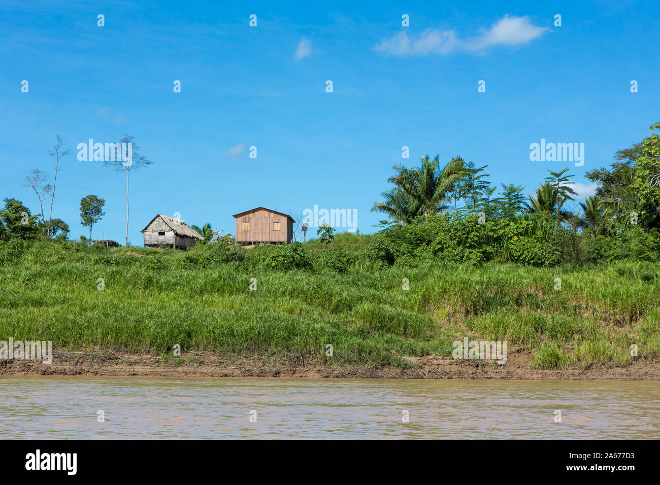 View of rustic wooden houses on Purus river bank in the Amazon ...