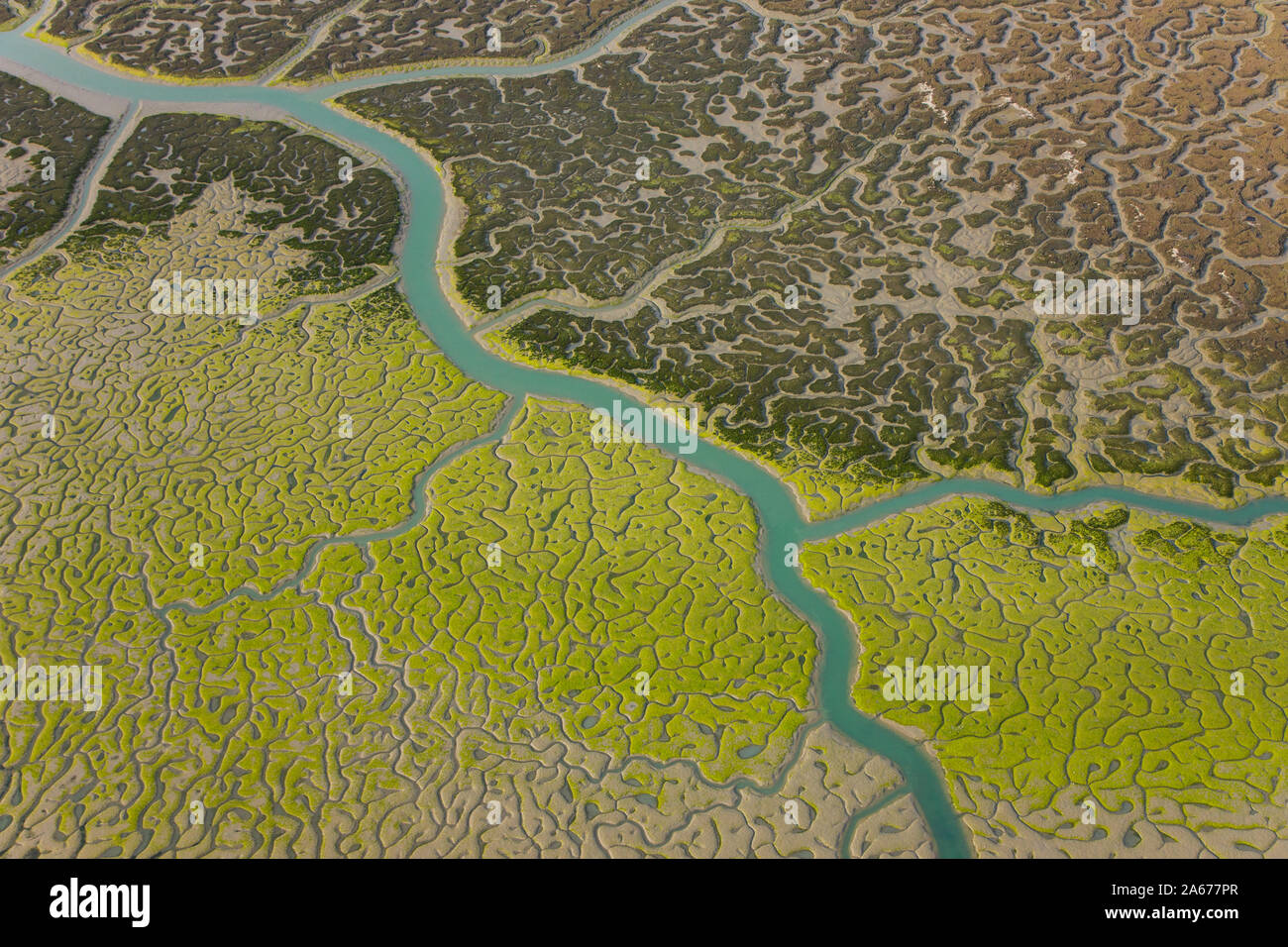 Aerial view on marshlands, Bahia de Cadiz Natural Park. Costa de la Luz ...