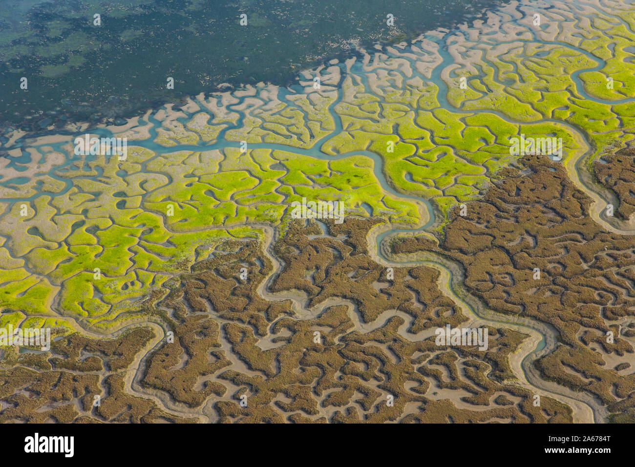 Aerial view on marshlands, Bahia de Cadiz Natural Park. Costa de la Luz ...