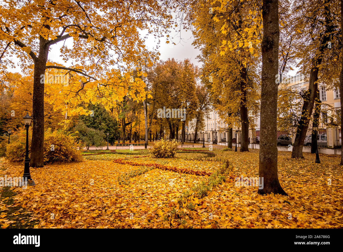 Leaf fall in the park in autumn. Landscape with maples and other trees on a cloudy day Stock ...