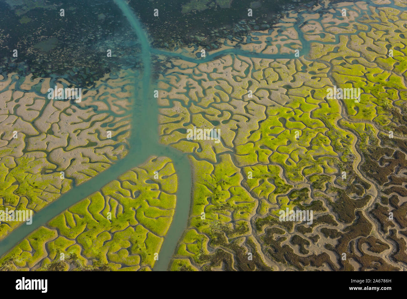 Aerial view on marshlands, Bahia de Cadiz Natural Park. Costa de la Luz ...