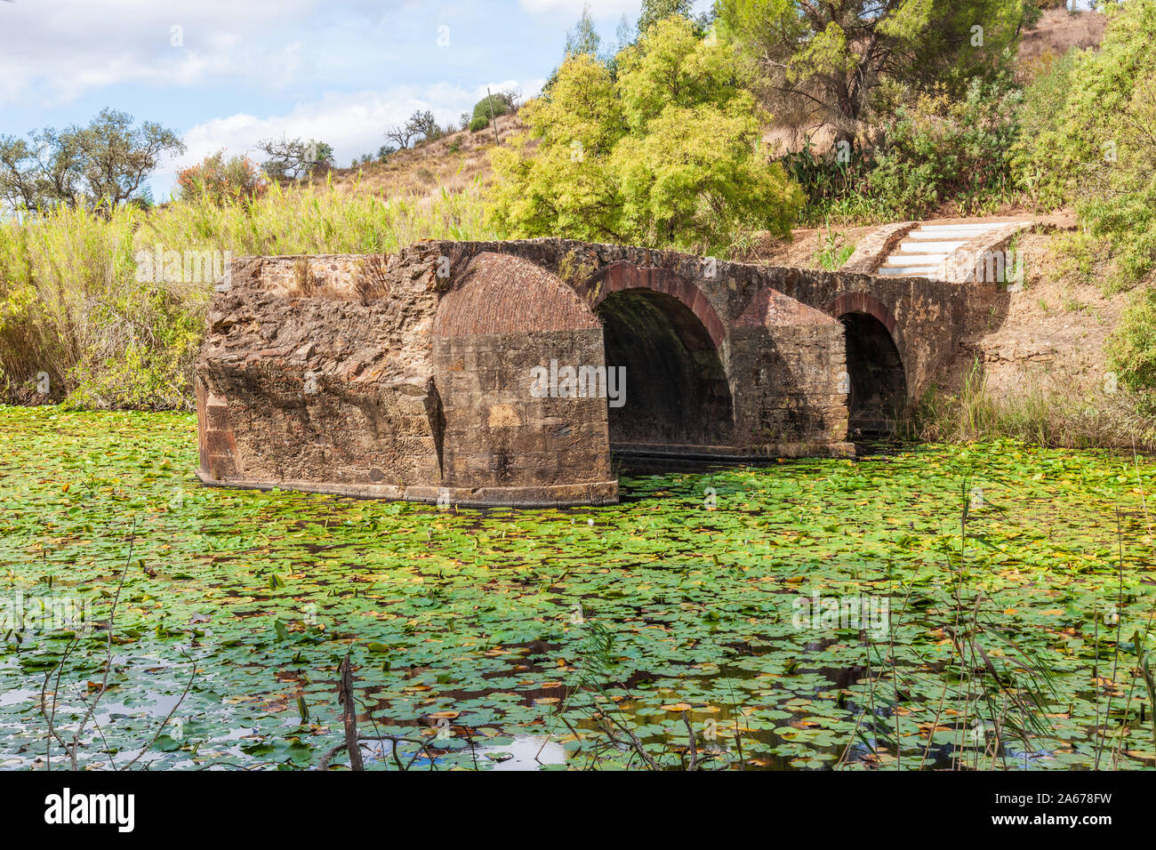 Roman lily pond hi-res stock photography and images - Alamy