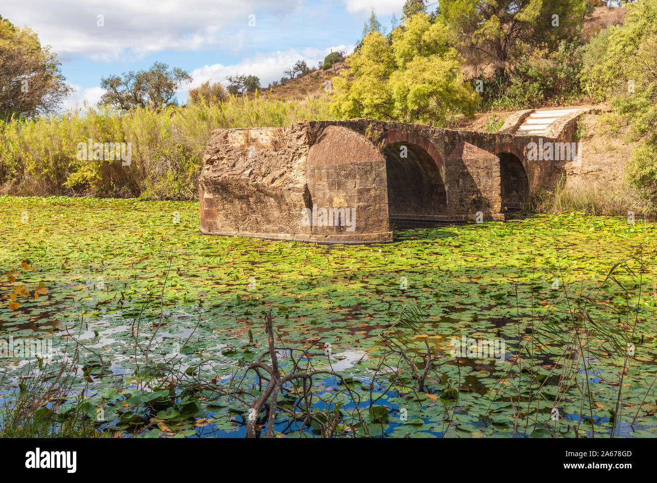 Roman lily pond hi-res stock photography and images - Alamy