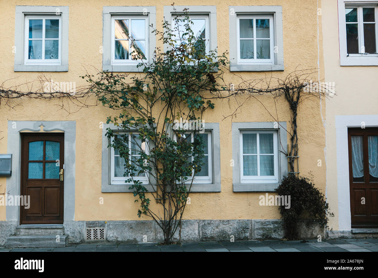 Rural apartment house in the fall or winter. The plants withered Stock ...