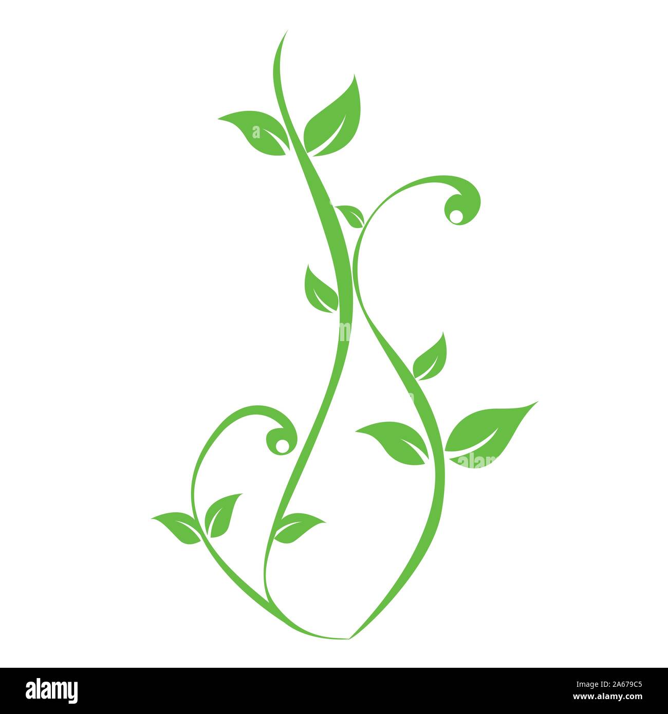 green plants tendril on white background vector illustration EPS10 ...