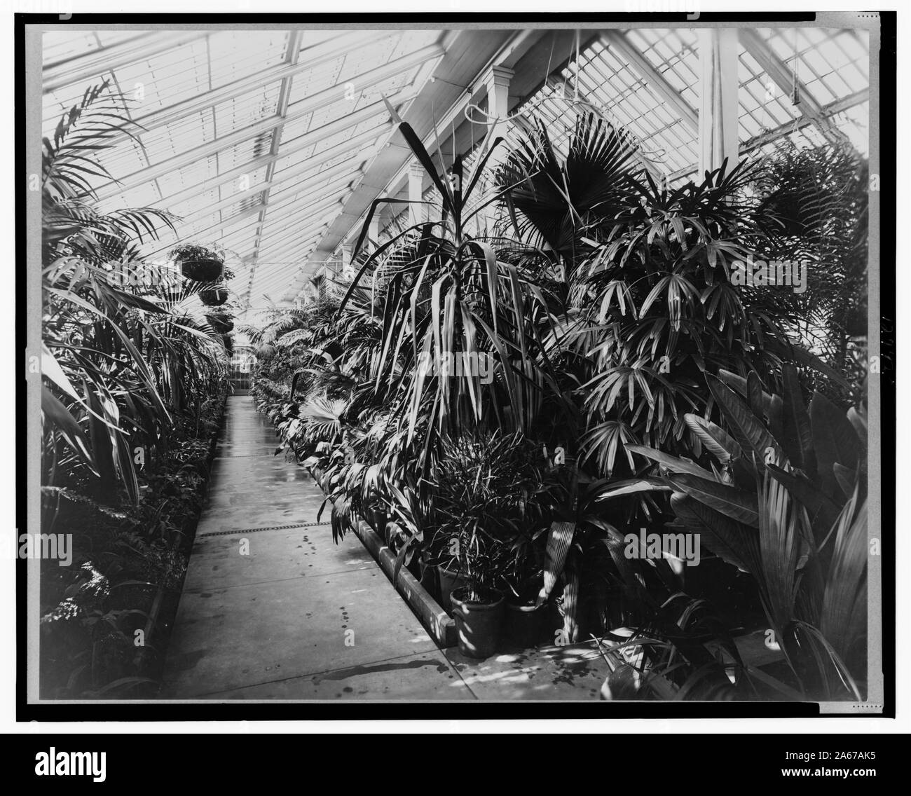 Conservatory garden house Cut Out Stock Images & Pictures - Alamy