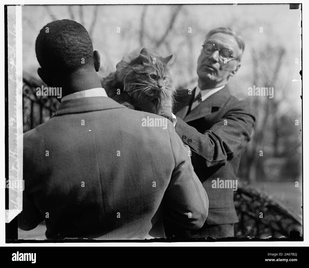 Persian house in history Black and White Stock Photos & Images - Alamy