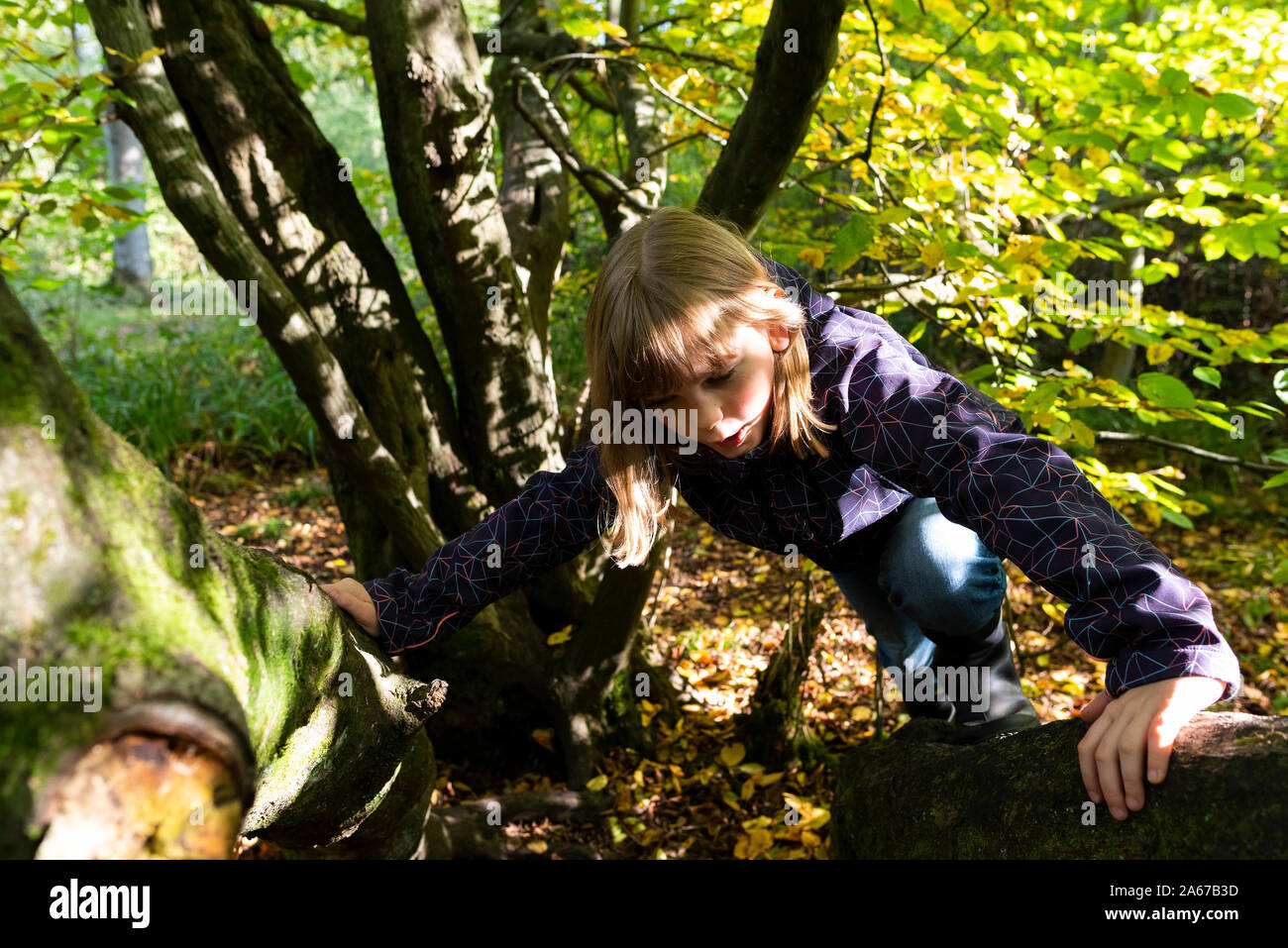 Tween tweens hi-res stock photography and images - Alamy