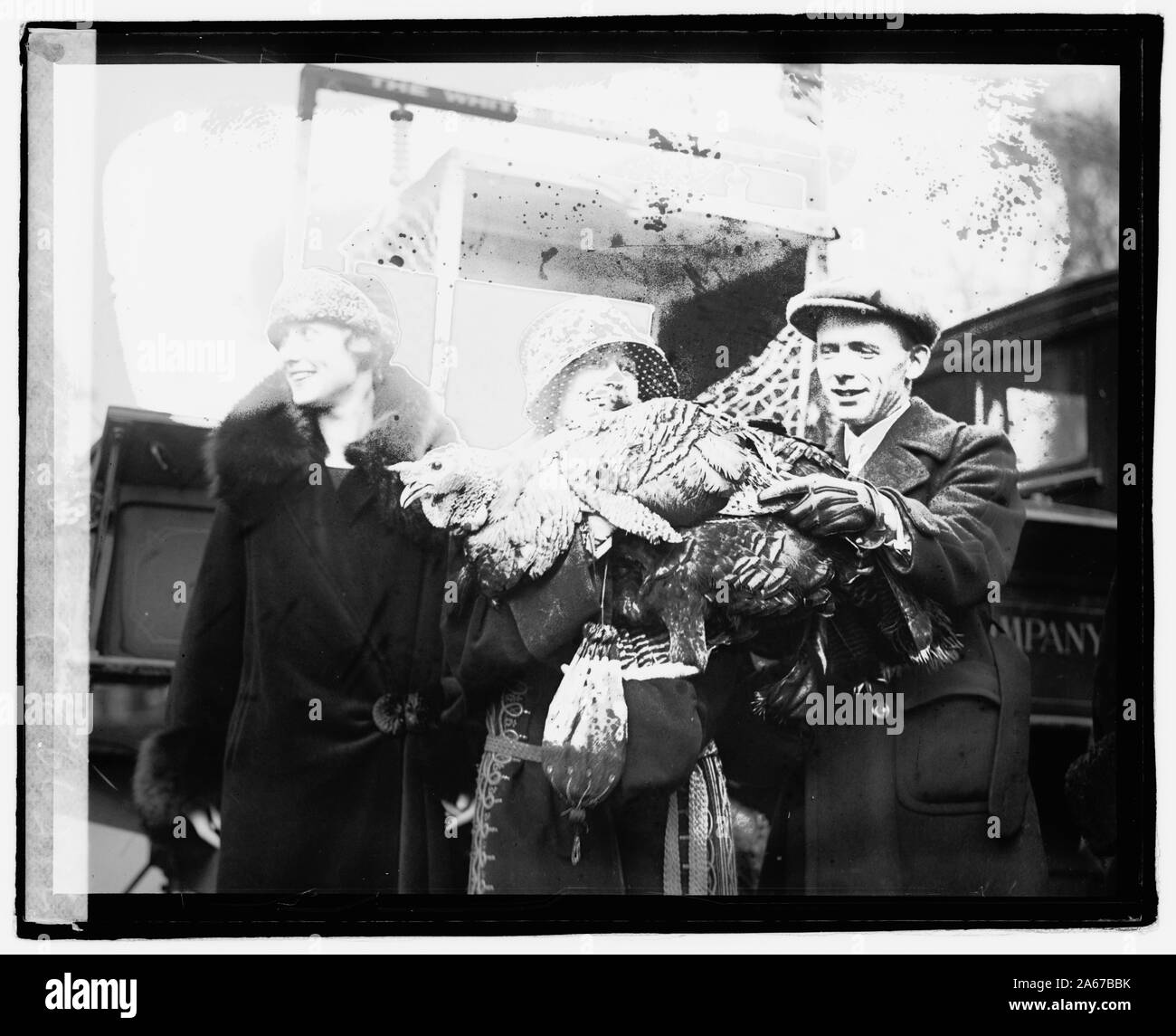 House turkey Black and White Stock Photos & Images - Alamy
