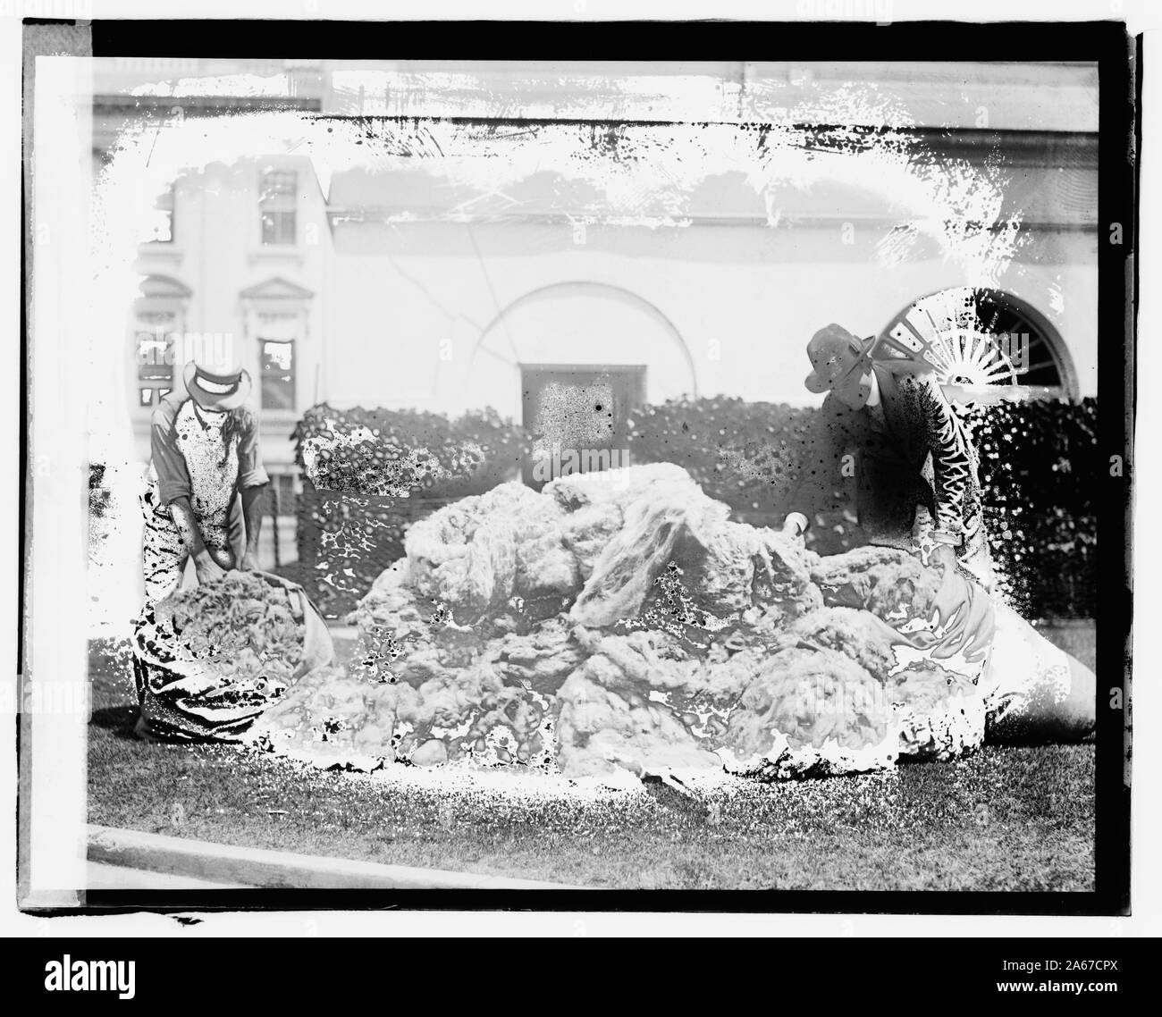 The wool house Black and White Stock Photos & Images - Alamy