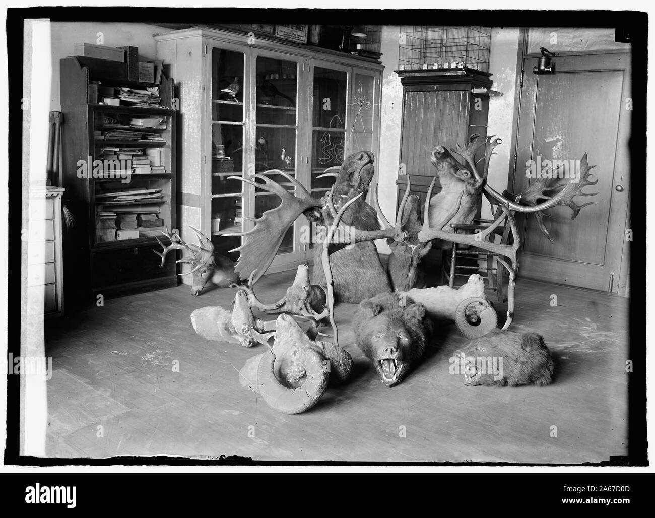 House 5 Black and White Stock Photos & Images - Alamy