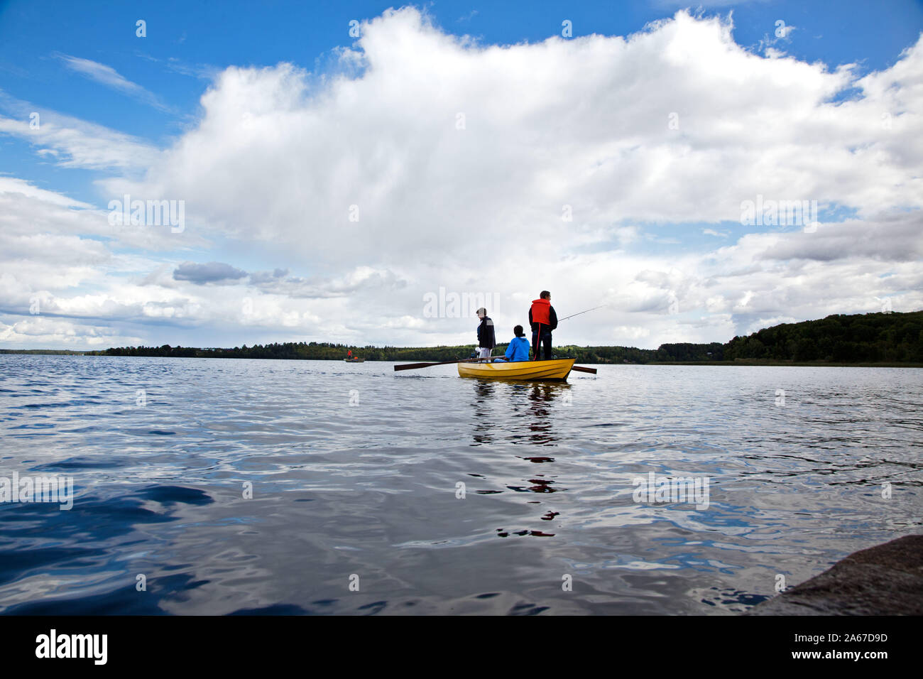 Some fishing perch (Perca fluviatilis) in Lake Boren, Motala, Sweden ...