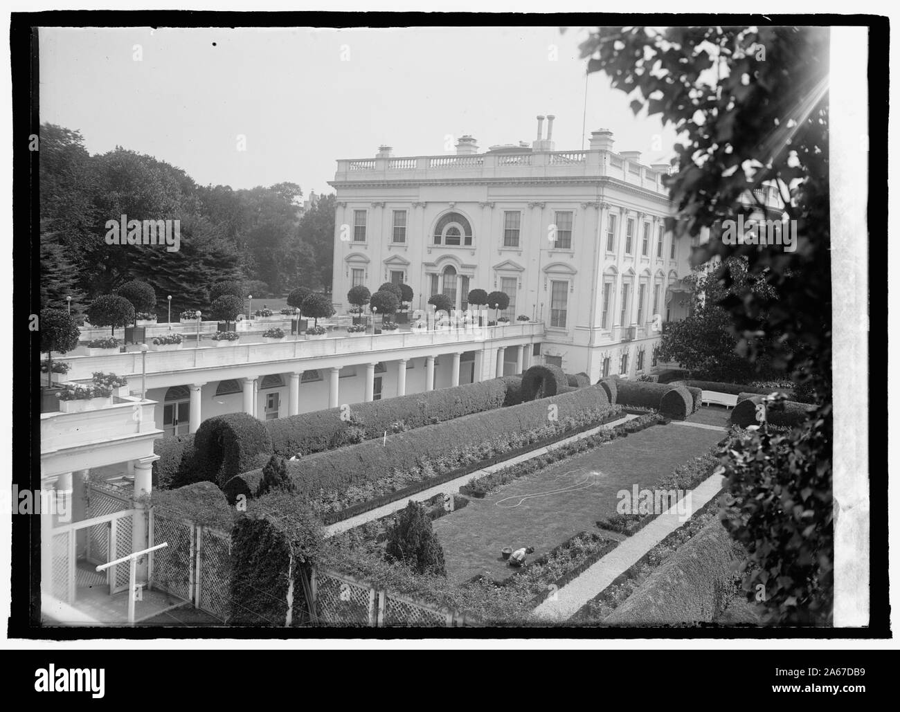 White terrace white terrace hi-res stock photography and images - Alamy