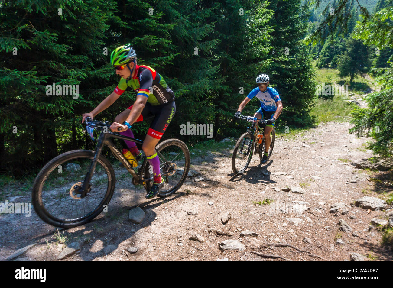 Mountain biker in action in alpine landscape. Extreme sport and ...