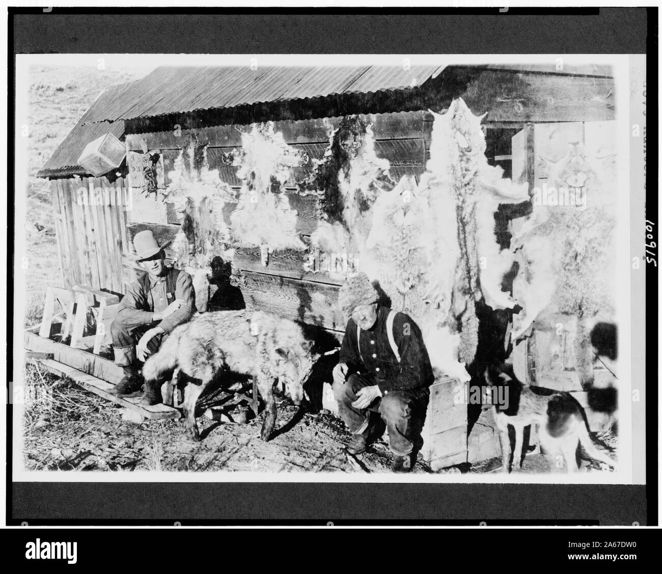 River in forest trees Cut Out Stock Images & Pictures - Alamy