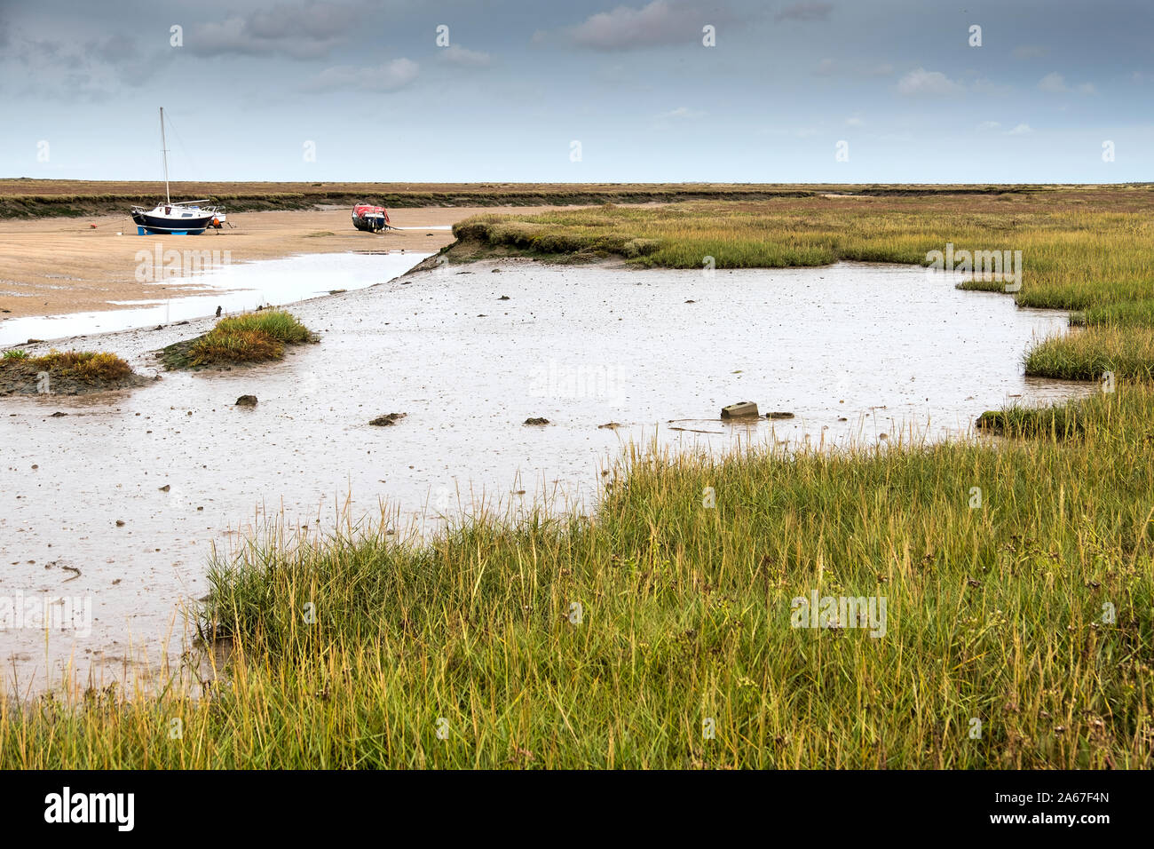 Coastal mud flats and salt marsh Stock Photo - Alamy Coastal mud flats and salt marsh Stock Photo - Alamy