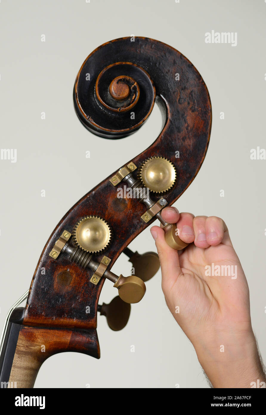 Man Tuning his Double Bass Stock Photo - Alamy
