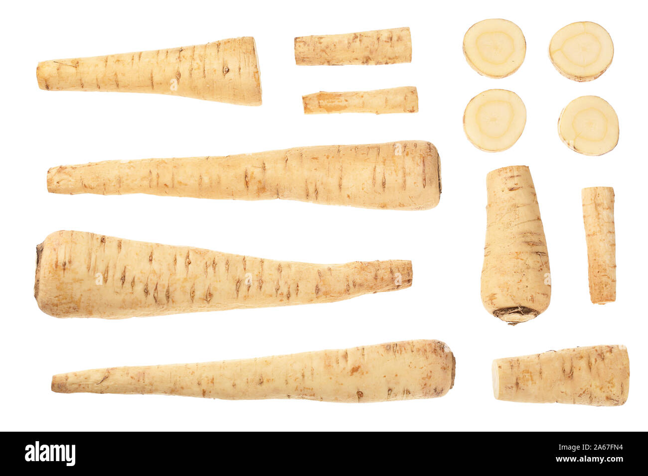 Parsnip root and slices isolated on white background closeup. Top view ...