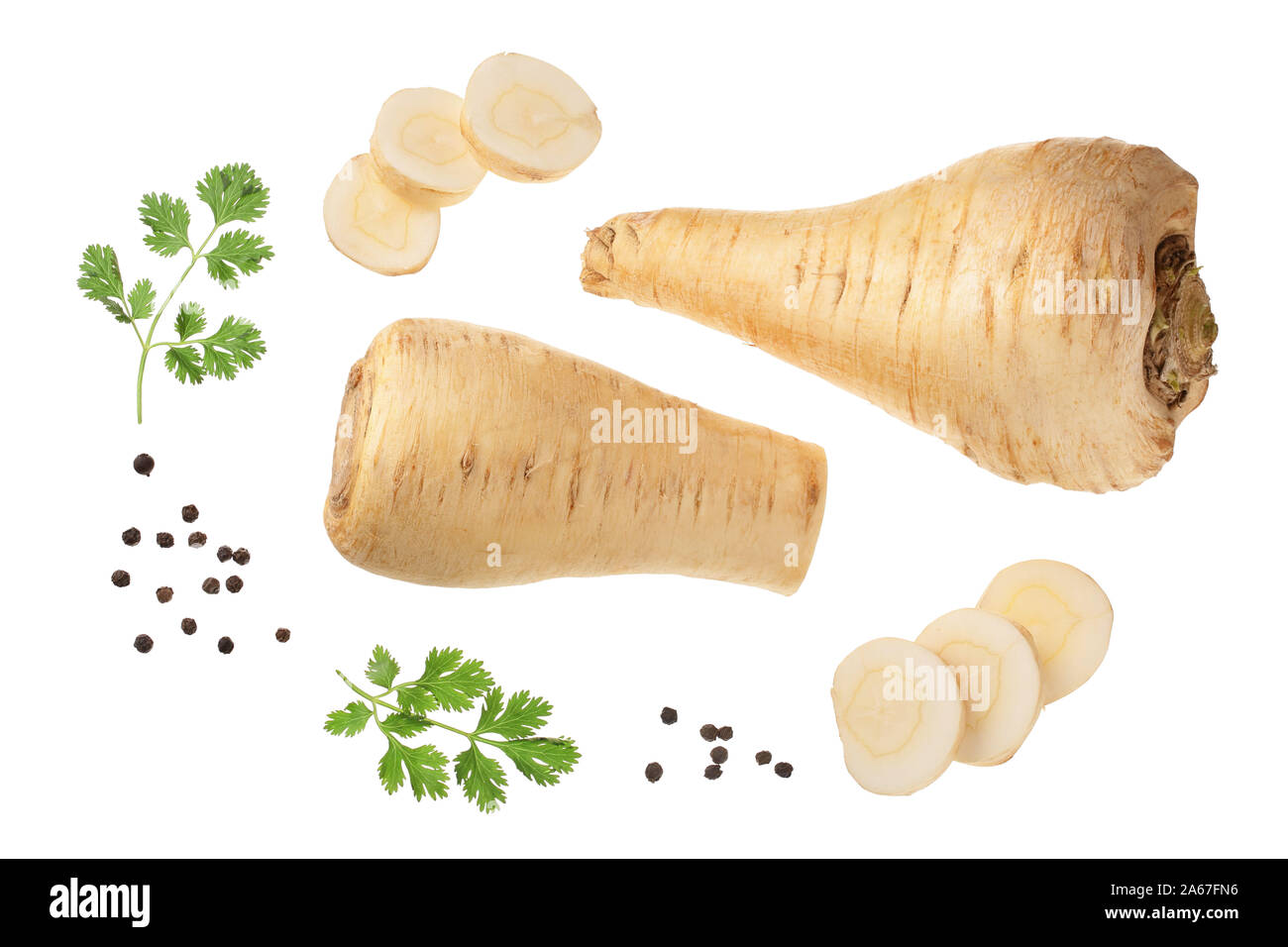 Parsnip root and slices with parsley peppercorns isolated on white ...