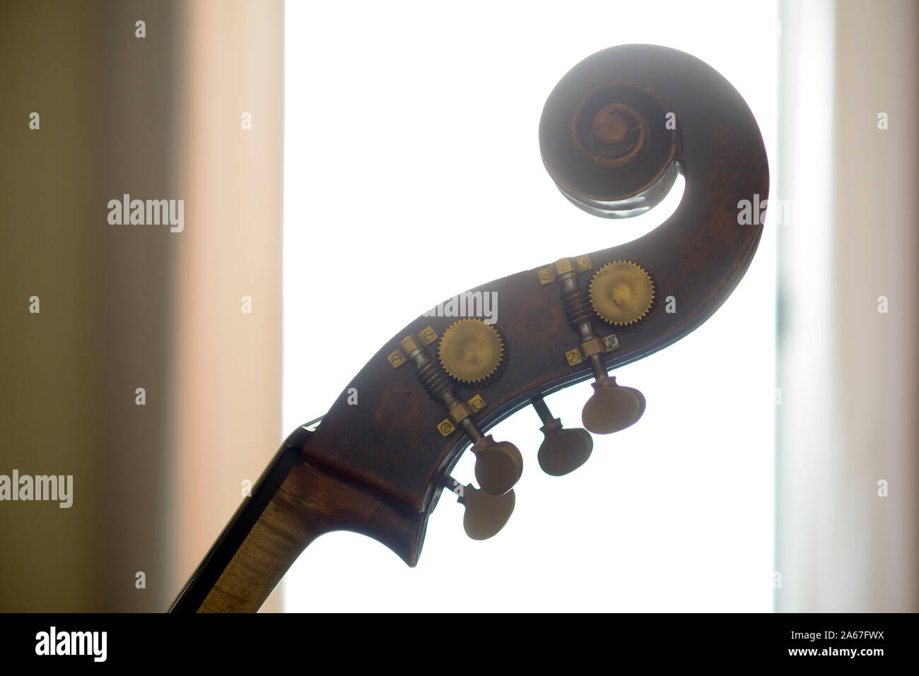 Close-up on Scroll of Double Bass Stock Photo - Alamy