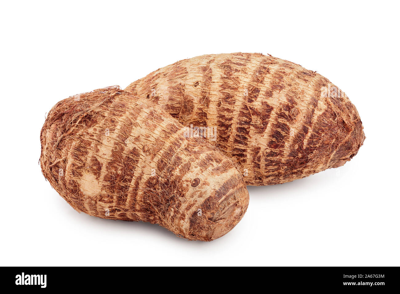 fresh taro root isolated on white background Stock Photo - Alamy