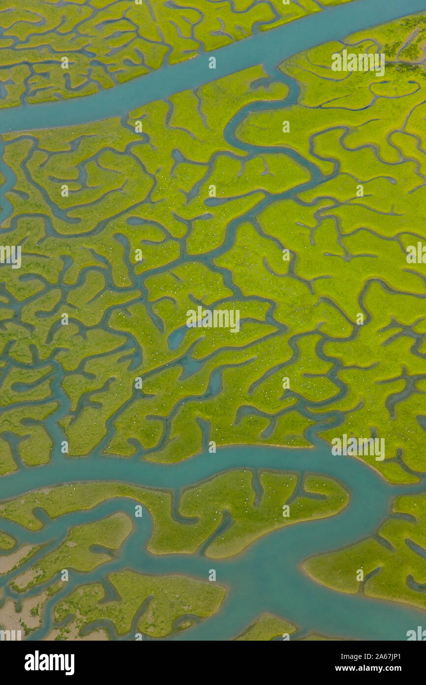 Aerial view on marshlands, Bahia de Cadiz Natural Park. Costa de la Luz ...