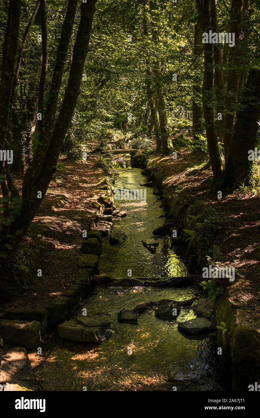Tehidy holiday park hi-res stock photography and images - Alamy