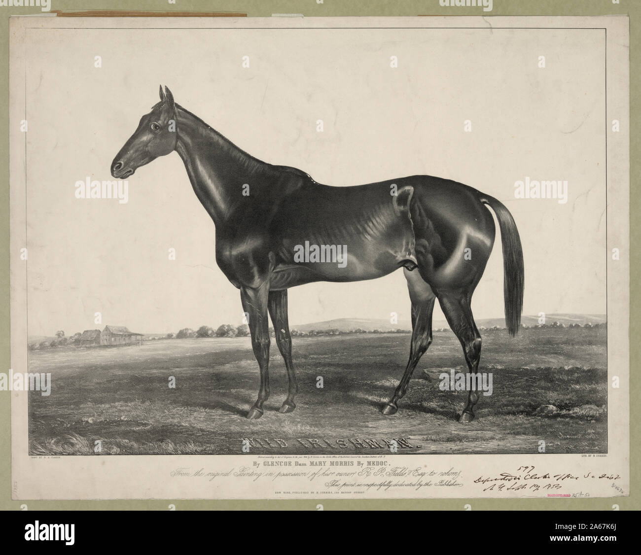 Wild irishman hi-res stock photography and images - Alamy