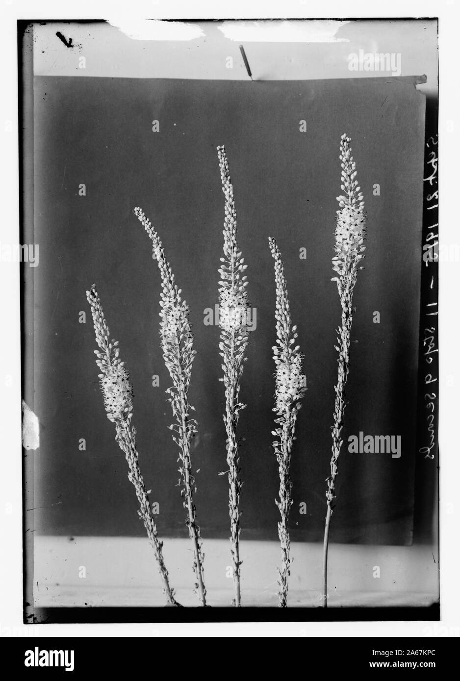 Regional maritime history Cut Out Stock Images & Pictures - Alamy