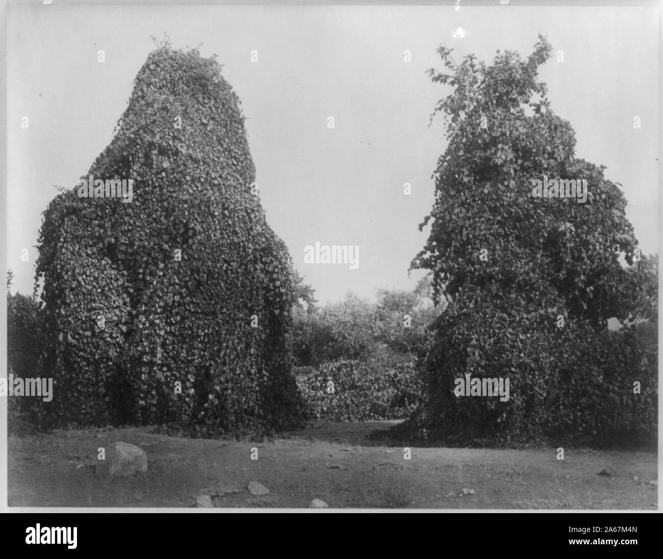 Tejon Ranch High Resolution Stock Photography and Images - Alamy