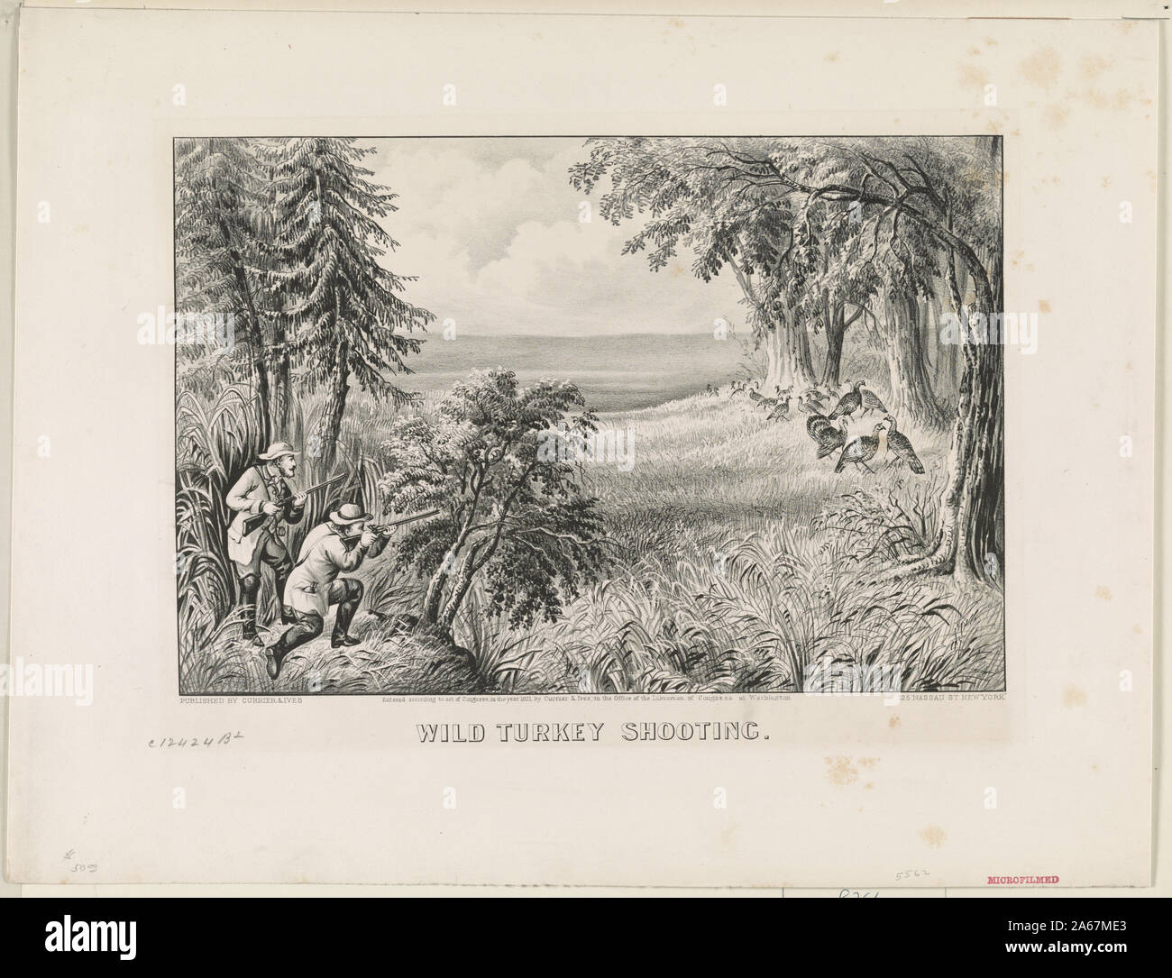 Wild turkey shooting Abstract: Print shows two hunters hiding behind ...