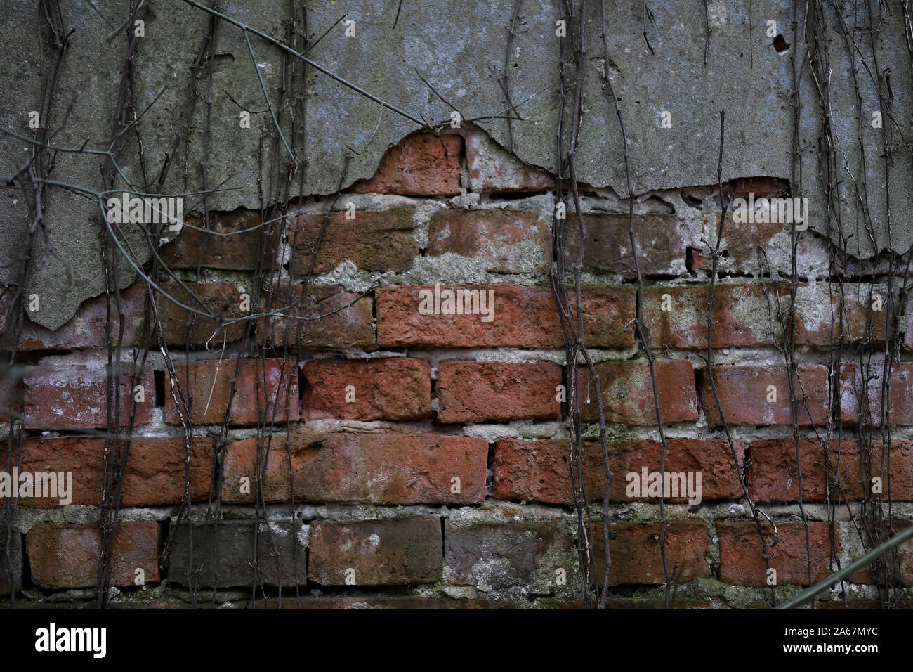 old brick wall, background, texture, space for text Stock Photo - Alamy