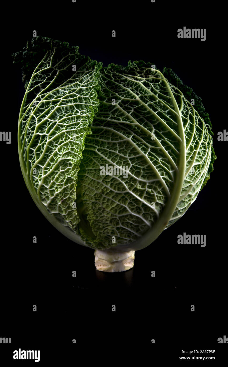Iceberg lettuce garden hi-res stock photography and images - Alamy