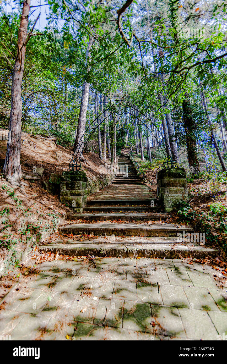 Natural staircase in the forest with a metal arch at the beginning with ...