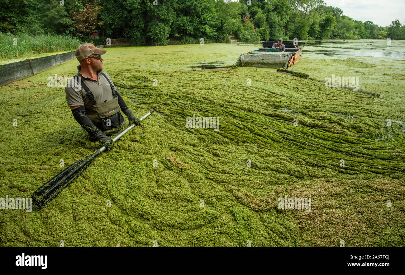 Toxic Algae Washington State