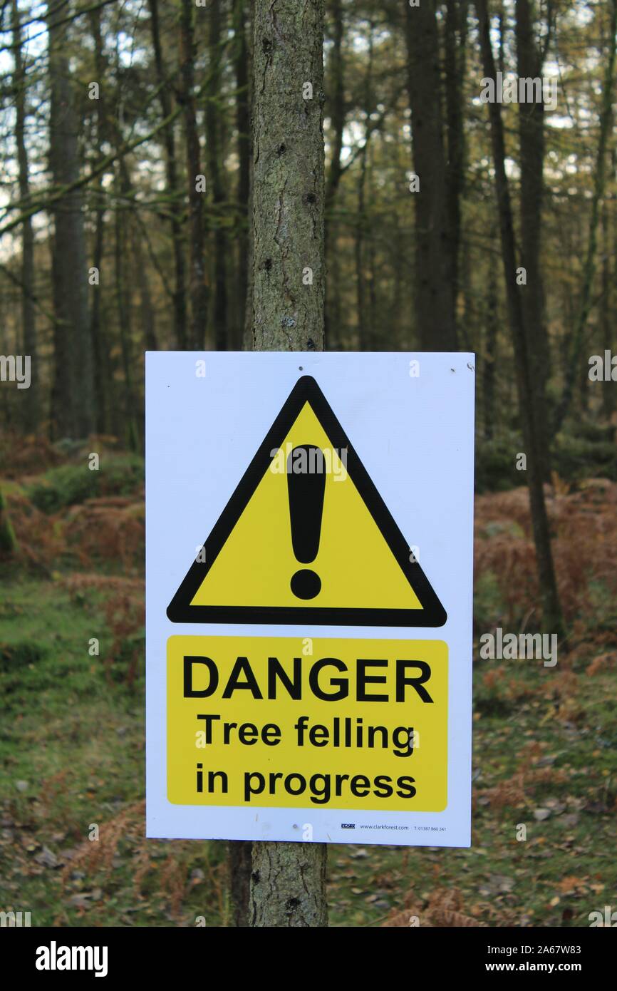Warning sign for woodland and forest tree felling and woodland and ...